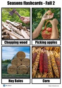 36 Free printable seasons flashcards (PDF) - ESL Vault