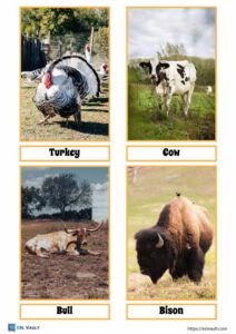 24 free printable farm animals flashcards (PDF) - ESL Vault