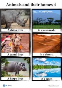 42 free animals and their homes pictures - ESL Vault