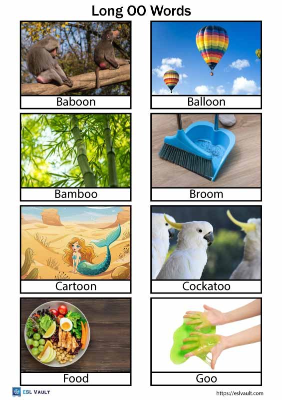 Free Long OO Words List And 32 Pictures PDF ESL Vault