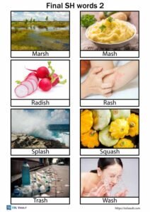 Free SH words lists and 48 picture cards - ESL Vault