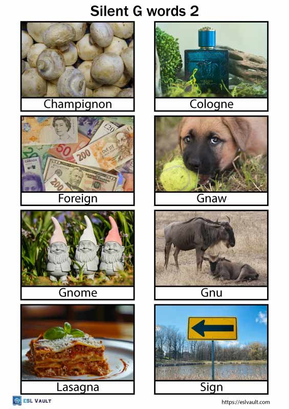 100+ Silent G words list and pictures(PDF) - ESL Vault