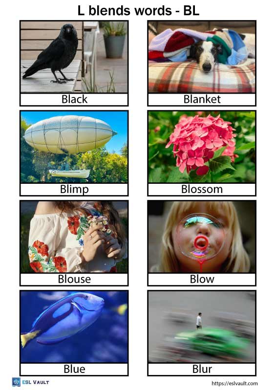 Free L blends words lists and 48 pictures (PDF) - ESL Vault