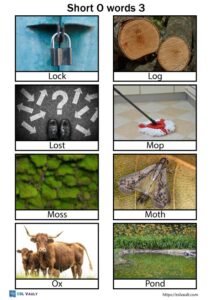 Free 100 short O words list and pictures - ESL Vault