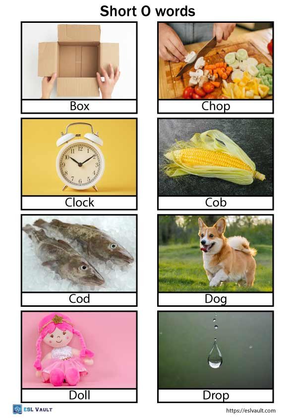 Free 100 short O words list and pictures - ESL Vault