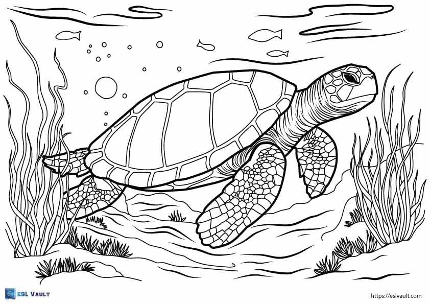 24 Free printable sea turtle coloring pages (PDF) - ESL Vault