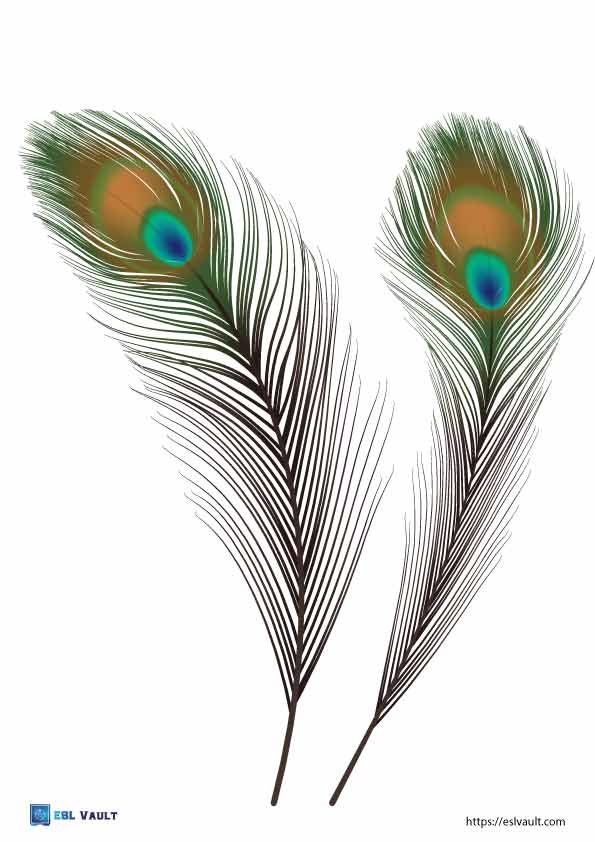 100+ Free printable feather templates (PDF) - ESL Vault