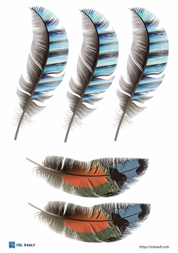 100+ Free printable feather templates (PDF) - ESL Vault