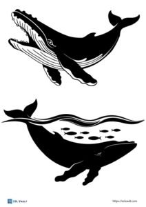 Free whale templates and outlines - 22 PDF pages - ESL Vault