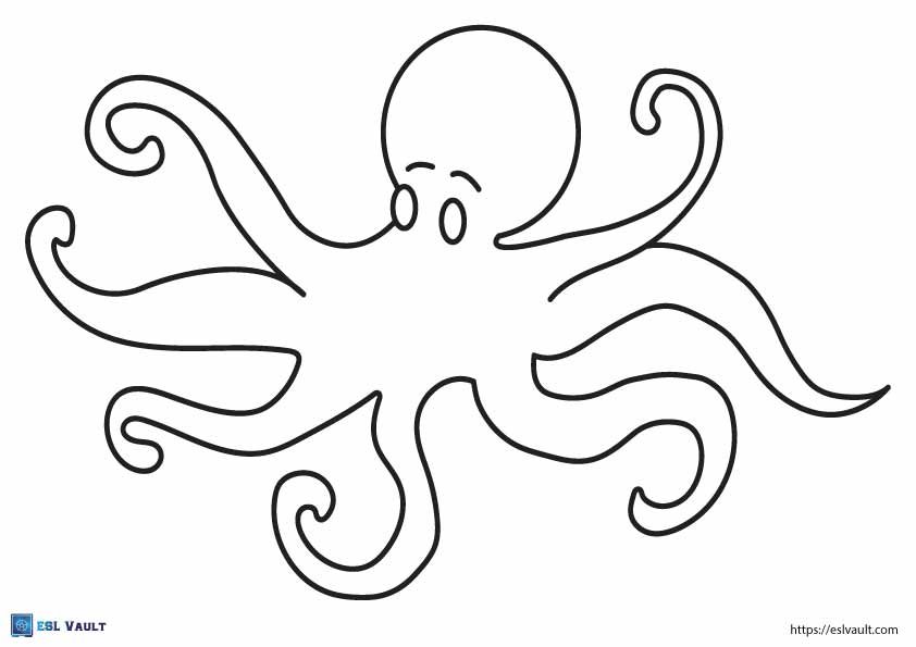 Free octopus outlines and templates (16 PDFs) - ESL Vault