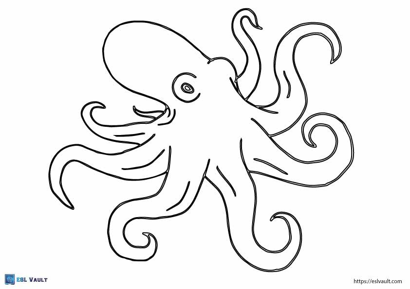 Free octopus outlines and templates (16 PDFs) - ESL Vault
