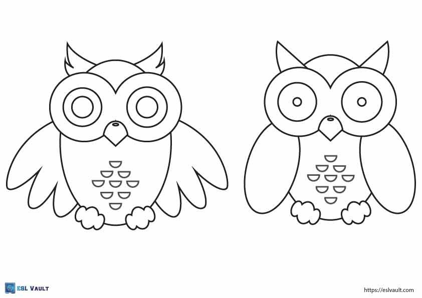 Free printable owl templates (27 PDFs) - ESL Vault