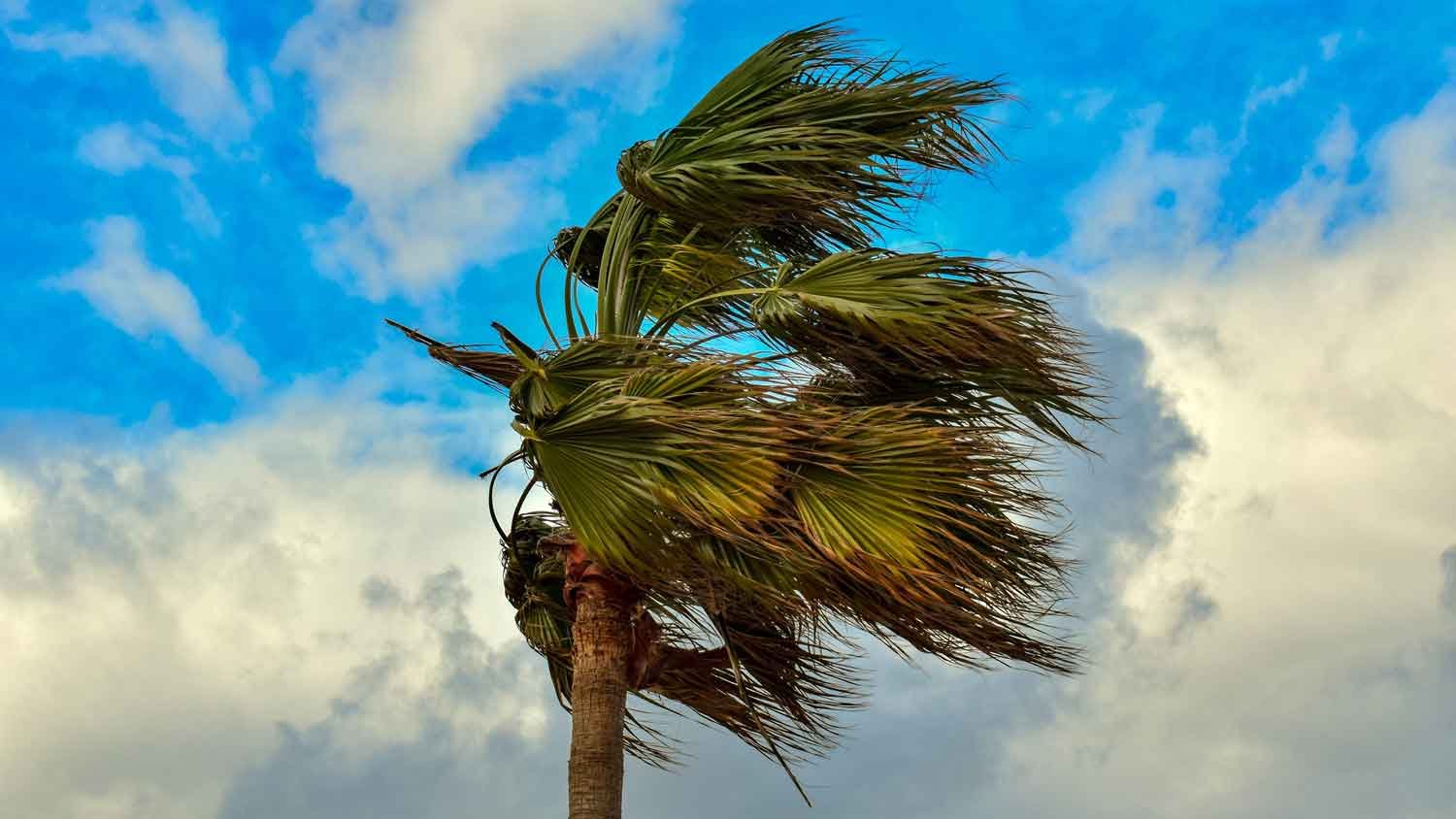 31 wonderful wind idioms - ESL Vault