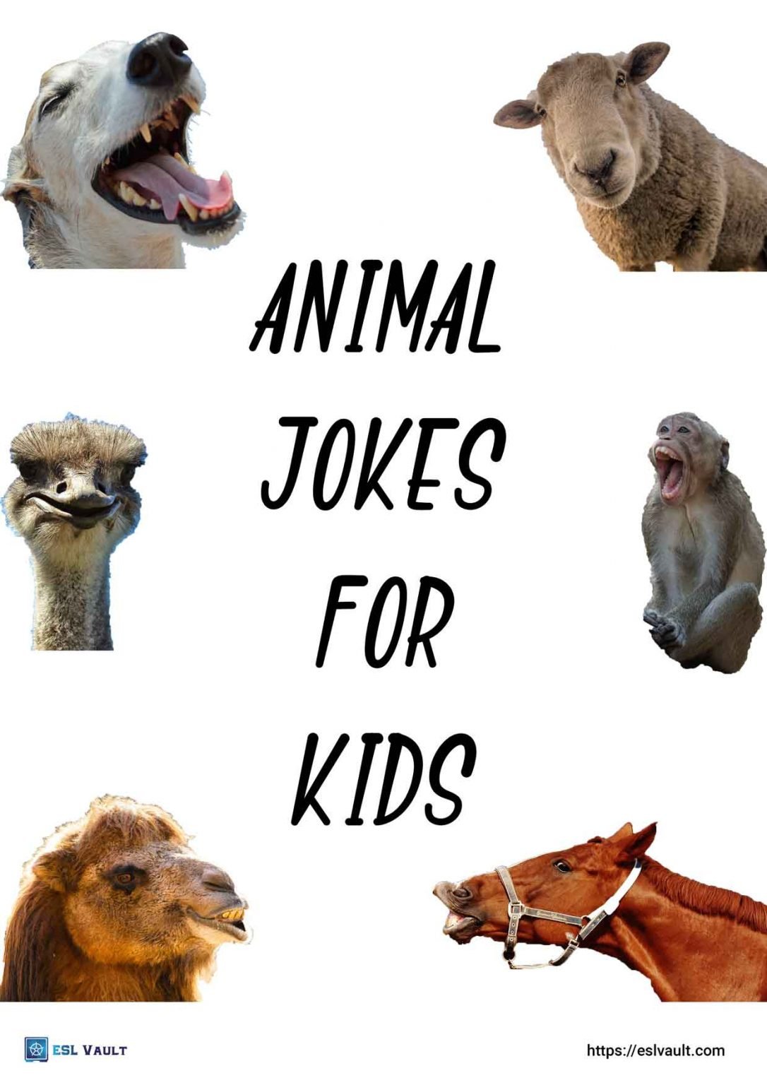 50+ animal jokes for kids - ESL Vault