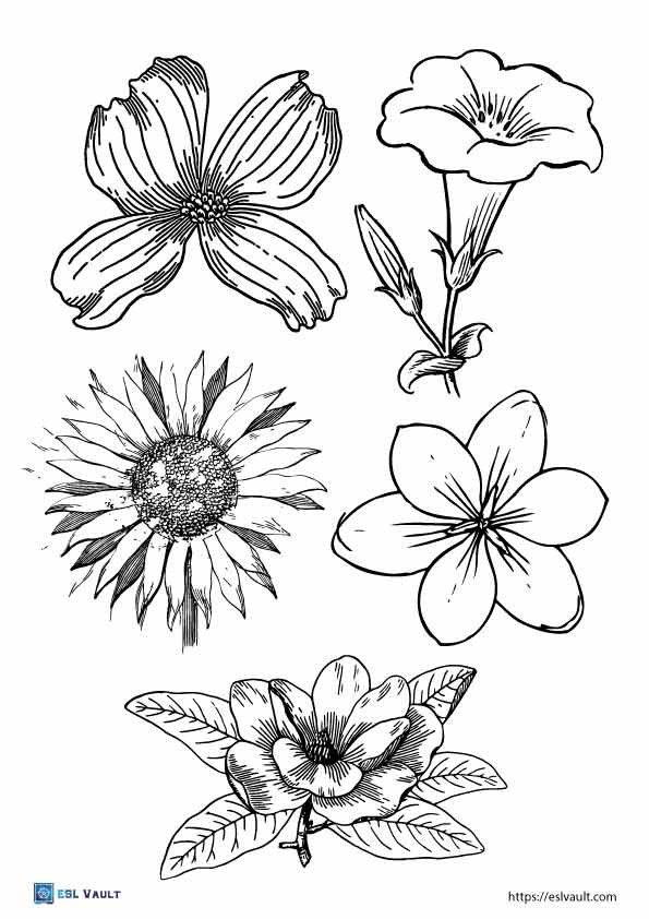 120 free printable flowers to cut out (PDF) - ESL Vault