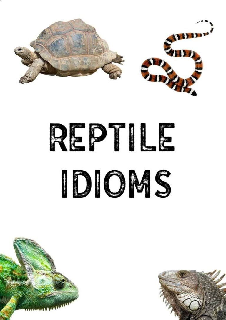 17 curious reptile idioms - ESL Vault