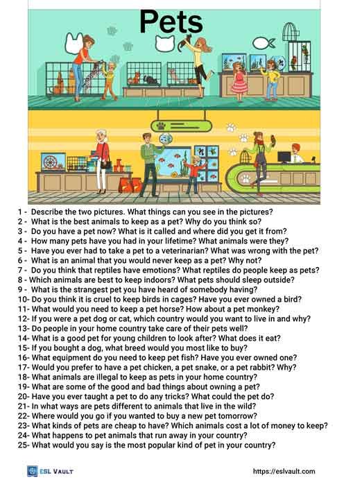 25 pets conversation questions - ESL Vault