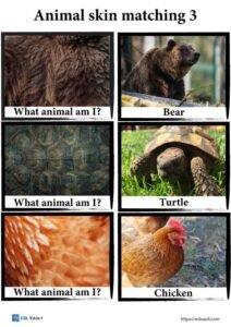 36 free animal skin matching game cards - ESL Vault