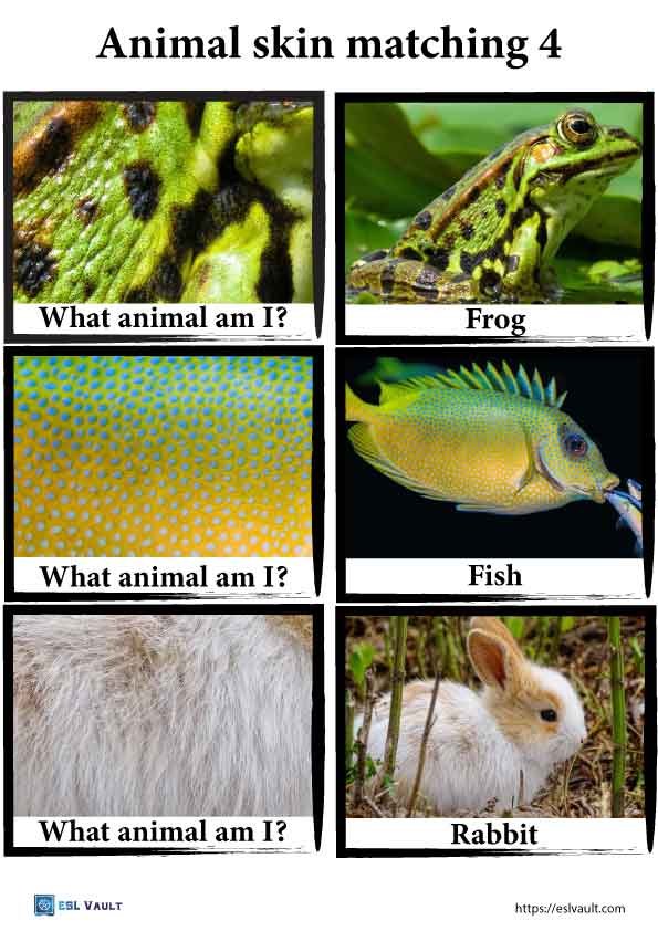 36 free animal skin matching game cards - ESL Vault
