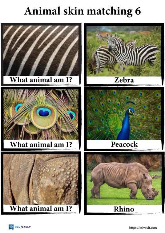 36 free animal skin matching game cards - ESL Vault