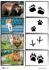 Free printable animal tracks matching game - ESL Vault