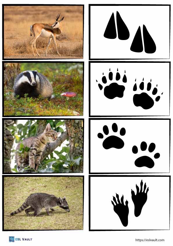 Free printable animal tracks matching game - ESL Vault