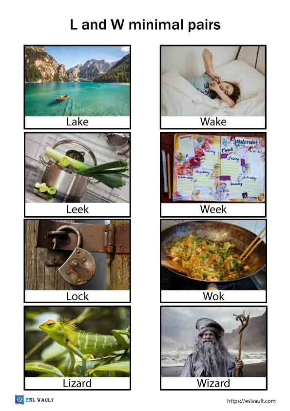 L and W minimal pairs with 32 free picture cards - ESL Vault