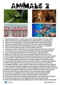 50 fun animal conversation questions - ESL Vault