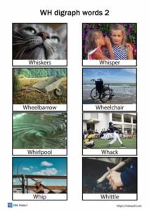 Free printable wh digraph words with pictures - ESL Vault
