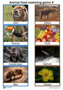 Animal food matching game PDFs with 48 free cards - ESL Vault