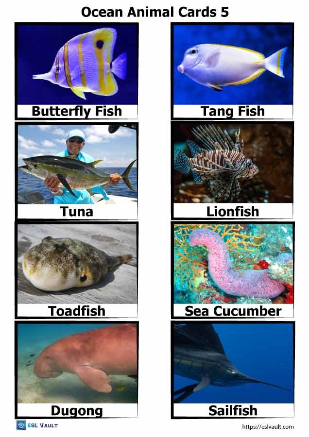 40 free PDF printable ocean animal cards - ESL Vault