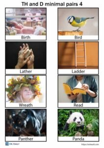 Free TH and D minimal pairs cards with pictures - ESL Vault