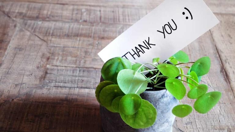 25 good manners conversation questions - ESL Vault