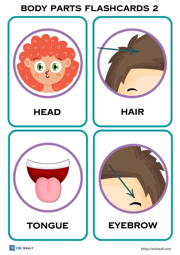 32 free body parts flashcards - ESL Vault