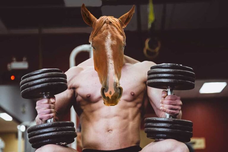 48 entertaining horse idioms - ESL Vault