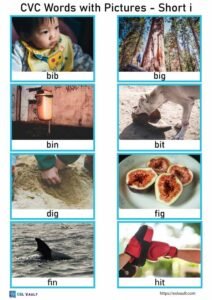88 free printable CVC words with pictures - ESL Vault