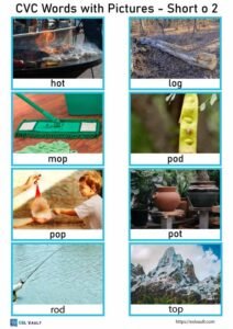 88 free printable CVC words with pictures - ESL Vault