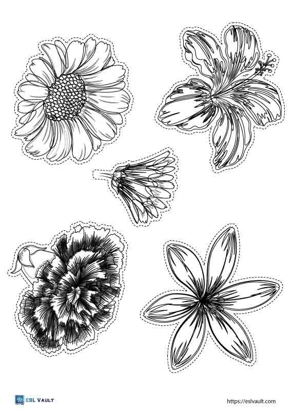 120 free printable flowers to cut out (PDF) - ESL Vault