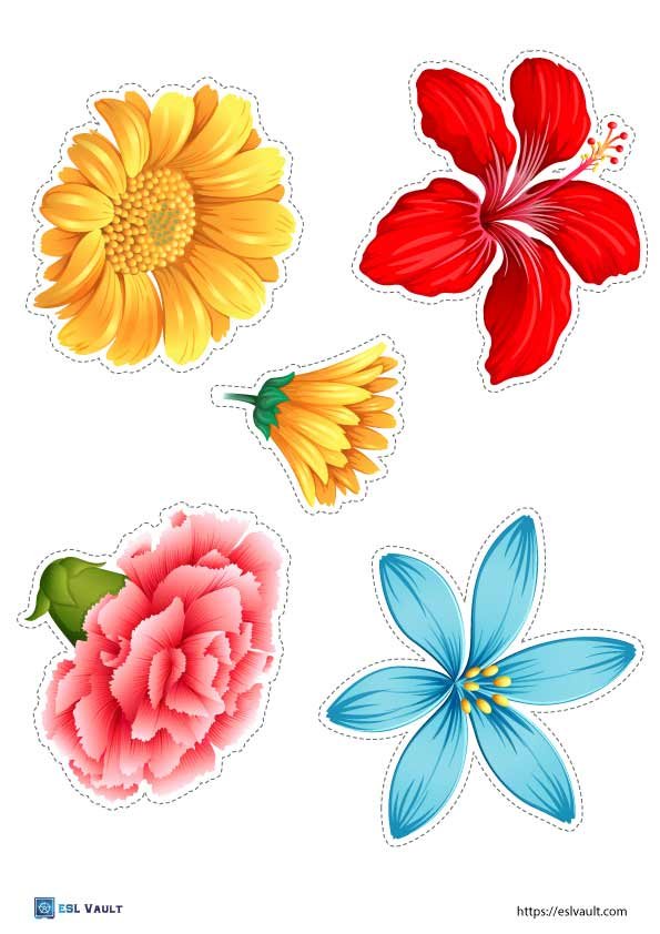 120 Free Printable Flowers To Cut Out PDF ESL Vault
