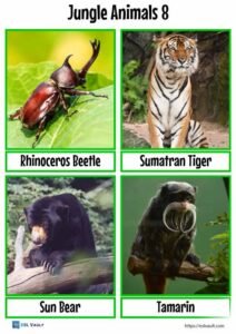 40 free jungle animals flashcards (PDF) - ESL Vault