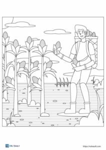 14 Free corn coloring pages (PDF) - ESL Vault