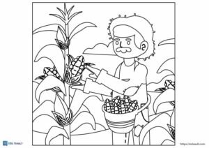 14 Free corn coloring pages (PDF) - ESL Vault