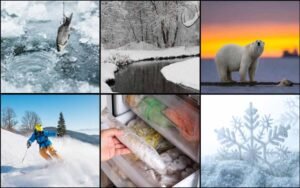 100+ Things that are cold - ESL Vault