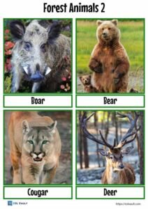 36 Free forest animals flashcards (PDF) - ESL Vault
