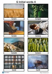 Free G initial words list and 40 flashcards - ESL Vault
