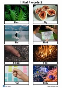 Initial F words list and 32 free pictures - ESL Vault