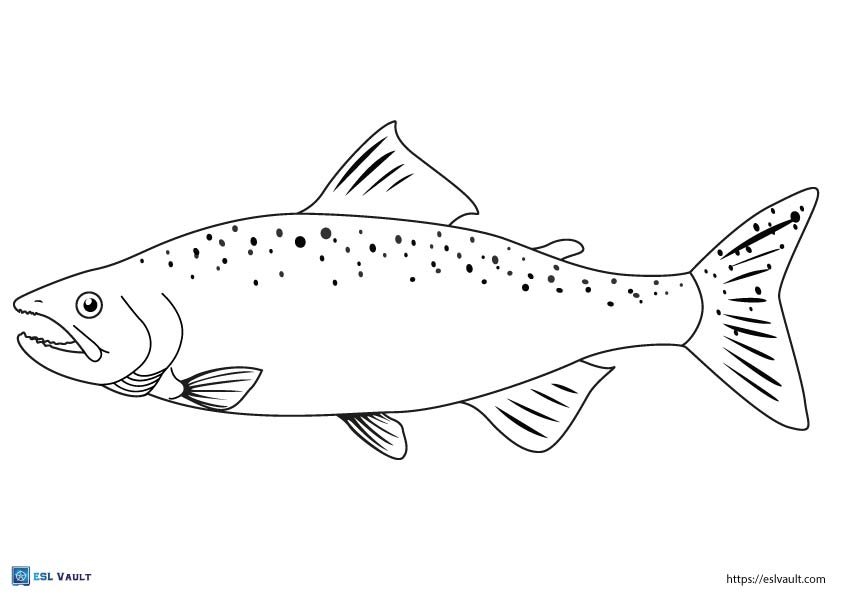 Free printable fish outline templates (18 PDFs) - ESL Vault