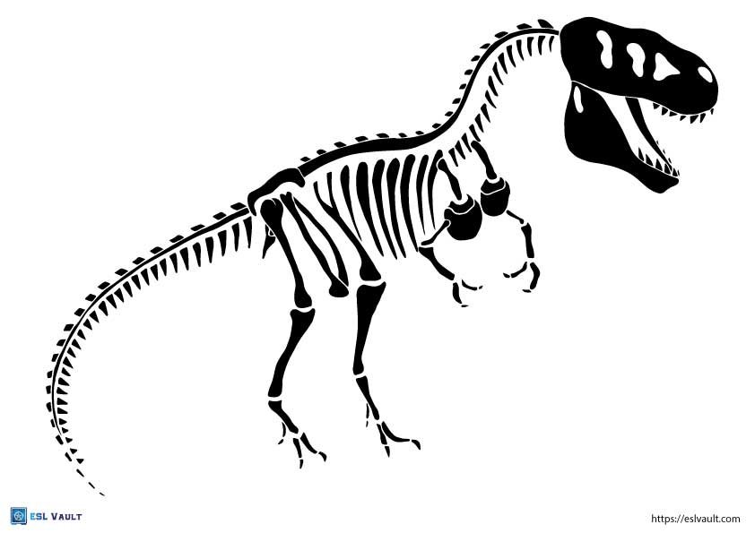 20 Free printable dinosaur skeletons (PDF) - ESL Vault
