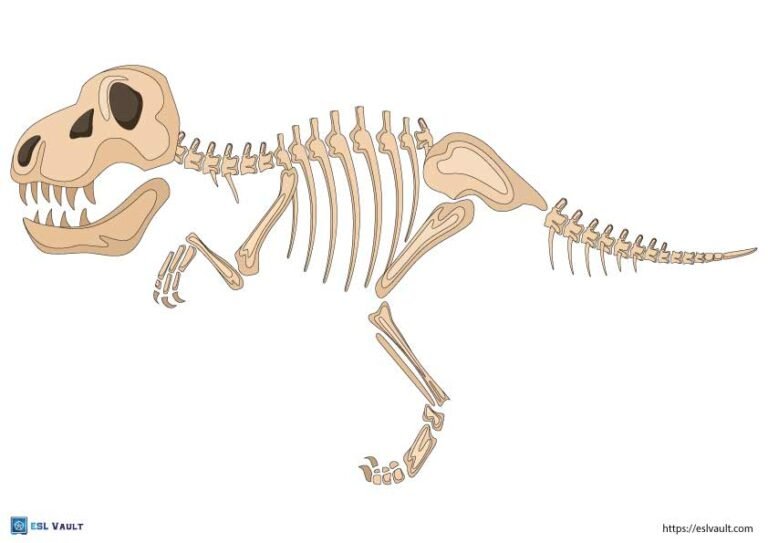 20 Free printable dinosaur skeletons (PDF) - ESL Vault