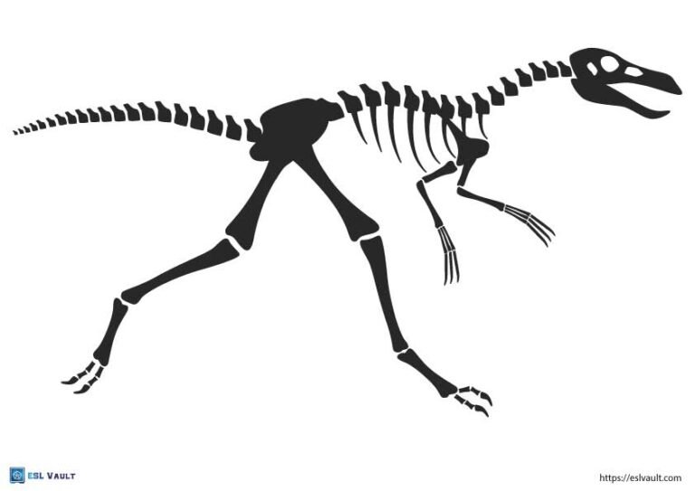 20 Free printable dinosaur skeletons (PDF) - ESL Vault